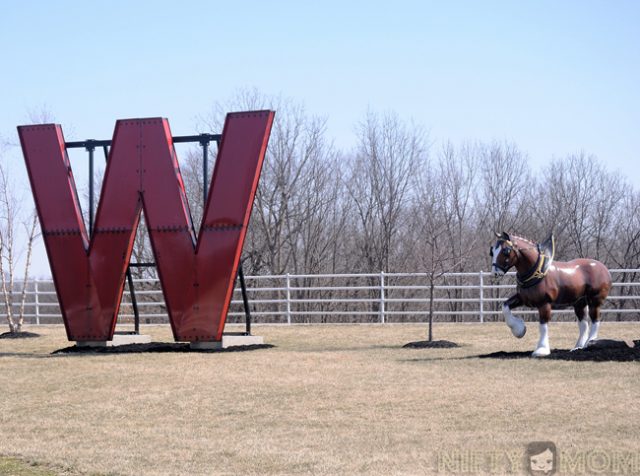 Visiting Warm Springs Ranch – Home of the Budweiser Clydesdales – Nifty Mom