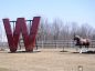Visiting Warm Springs Ranch – Home of the Budweiser Clydesdales – Nifty Mom