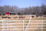 Visiting Warm Springs Ranch – Home of the Budweiser Clydesdales – Nifty Mom