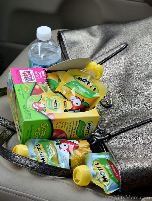 My Unpredictable Journey with Car Snacks & Meals – Nifty Mom