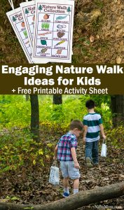 Engaging Nature Walk Ideas for Kids + Printable Activity Sheet – Nifty Mom