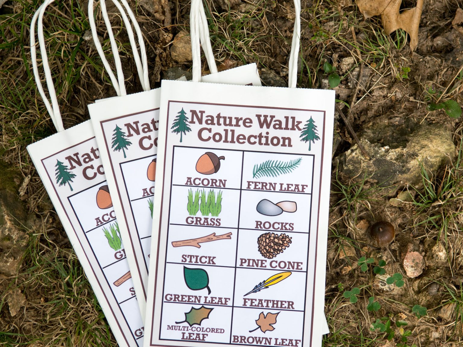 Engaging Nature Walk Ideas for Kids + Printable Activity Sheet – Nifty Mom