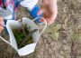 Engaging Nature Walk Ideas for Kids + Printable Activity Sheet – Nifty Mom