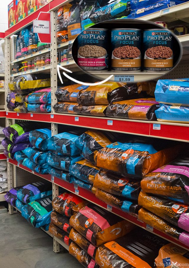 5 Reasons I Shop at Tractor Supply Co for Pet Supplies – Nifty Mom